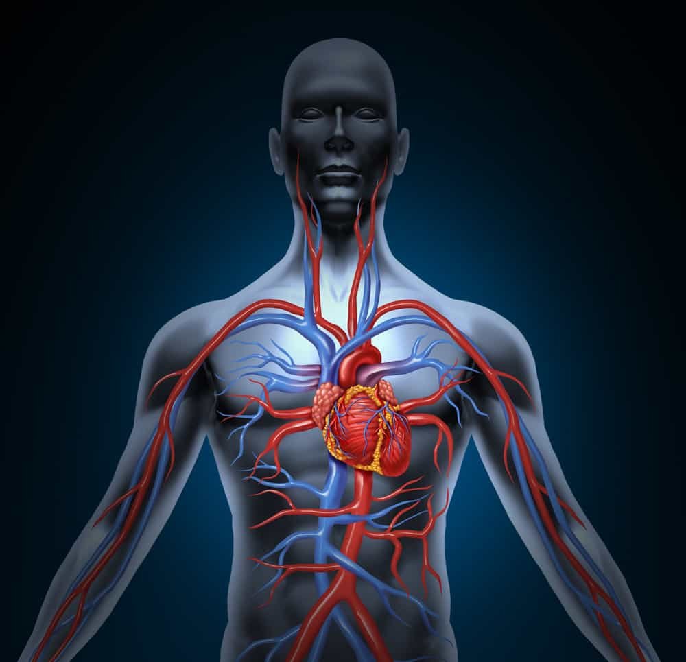 How to Increase Blood Flow to The Penis: 13 Powerful Tips That Can Help